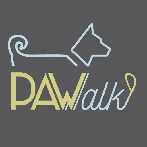 Promenade canine avec un promeneur pour chien agrée sur Genève
